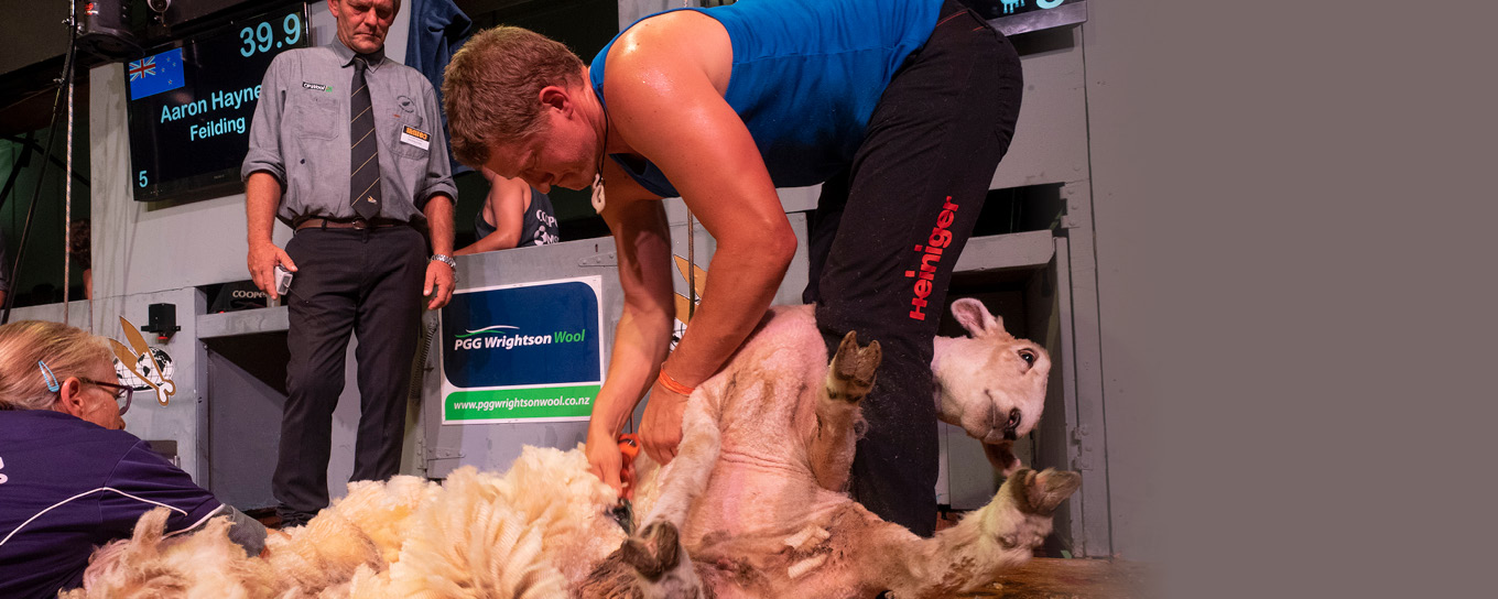 Shear it all | AgOnline